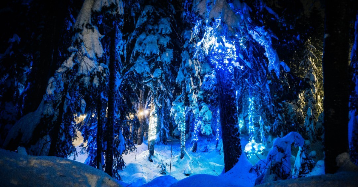 MAGICAL SNOWSHOE ADVENTURE ABOVE METRO VANCOUVER - Healthy Family ...